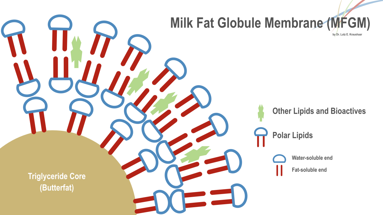 The Amazing Benefits Of Whole Milk. So Why Do Food Guidelines Demonize ...